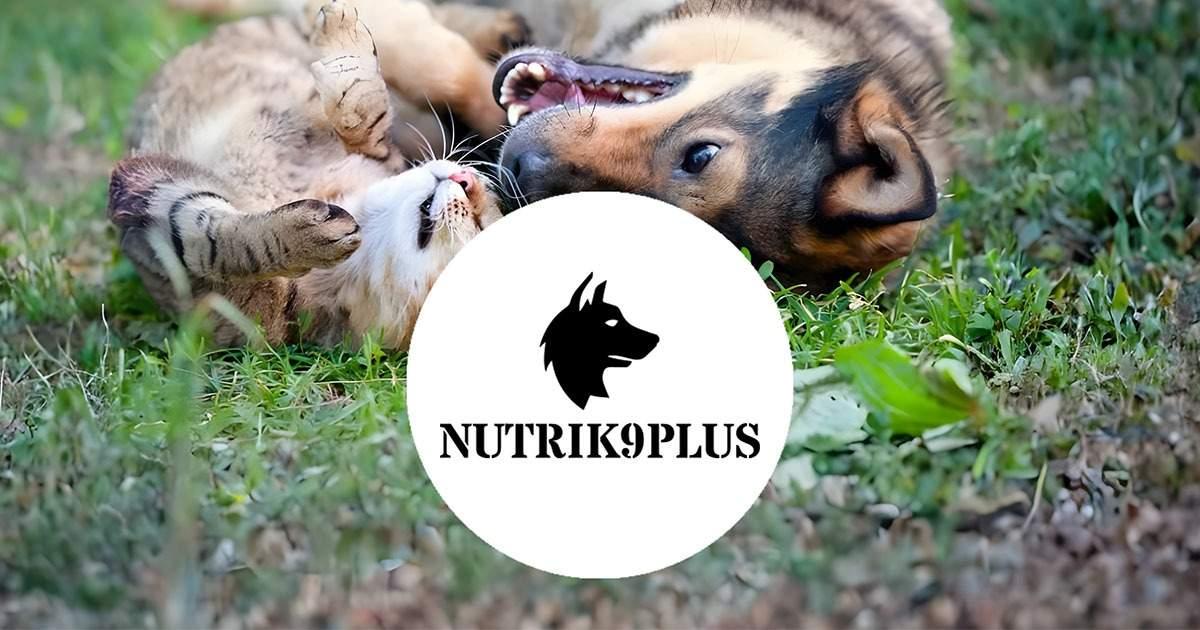 Animalerie Cantley - Nutrik9Plus